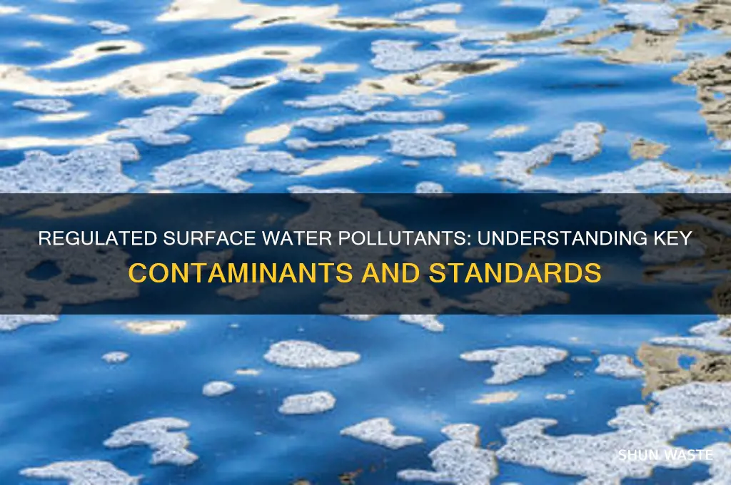 Regulated Surface Water Pollutants: Understanding Key Contaminants And ...