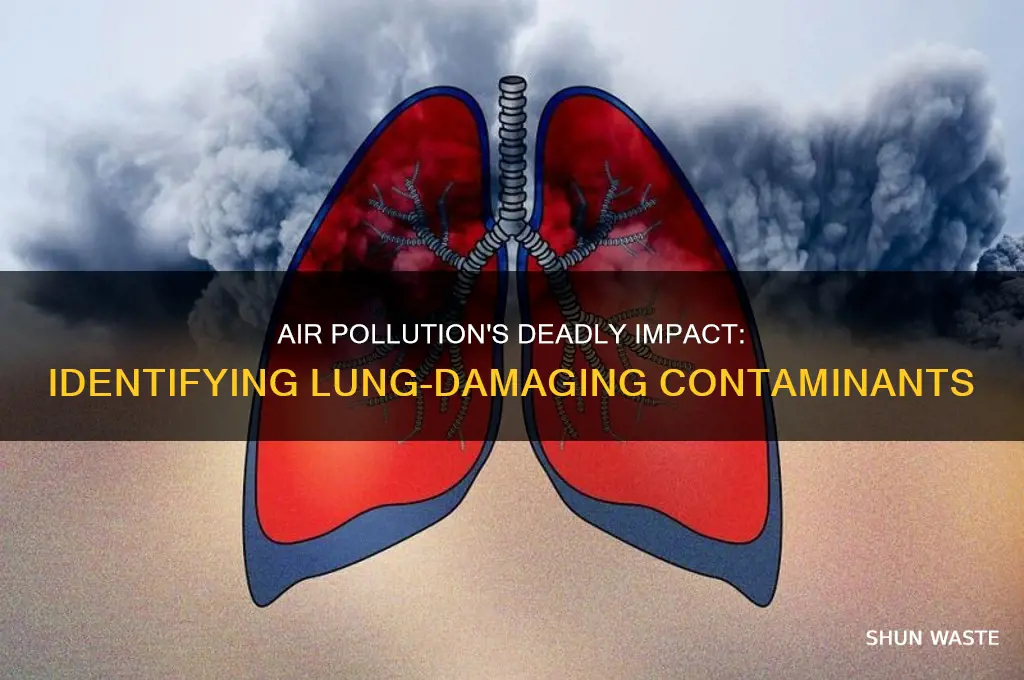 Air Pollution's Deadly Impact: Identifying Lung-Damaging Contaminants ...