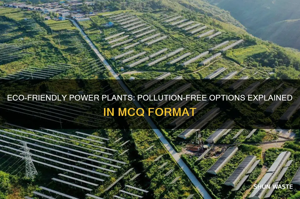 Eco-Friendly Power Plants: Pollution-Free Options Explained In Mcq ...