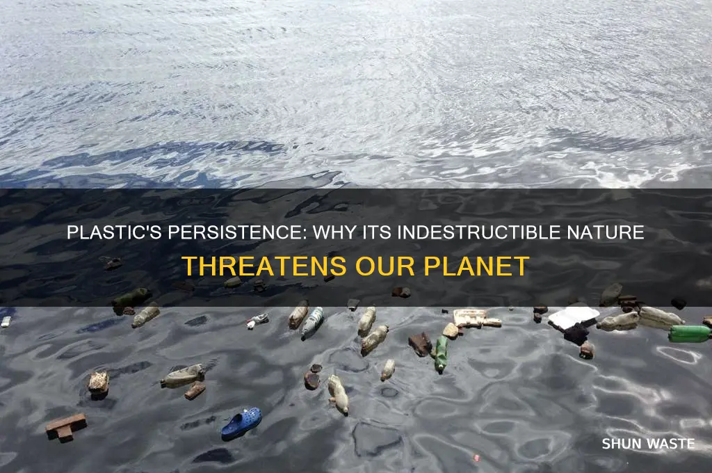 Plastic's Persistence: Why Its Indestructible Nature Threatens Our ...