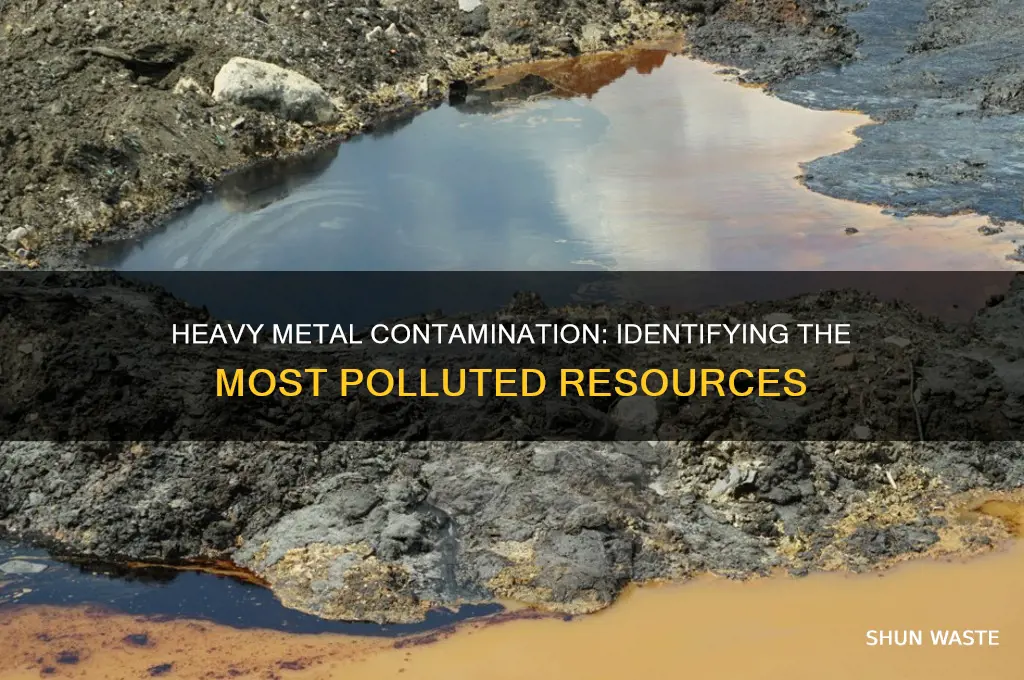 Heavy Metal Contamination: Identifying The Most Polluted Resources ...