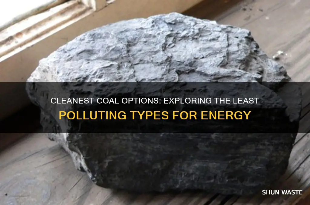 Cleanest Coal Options: Exploring The Least Polluting Types For Energy ...