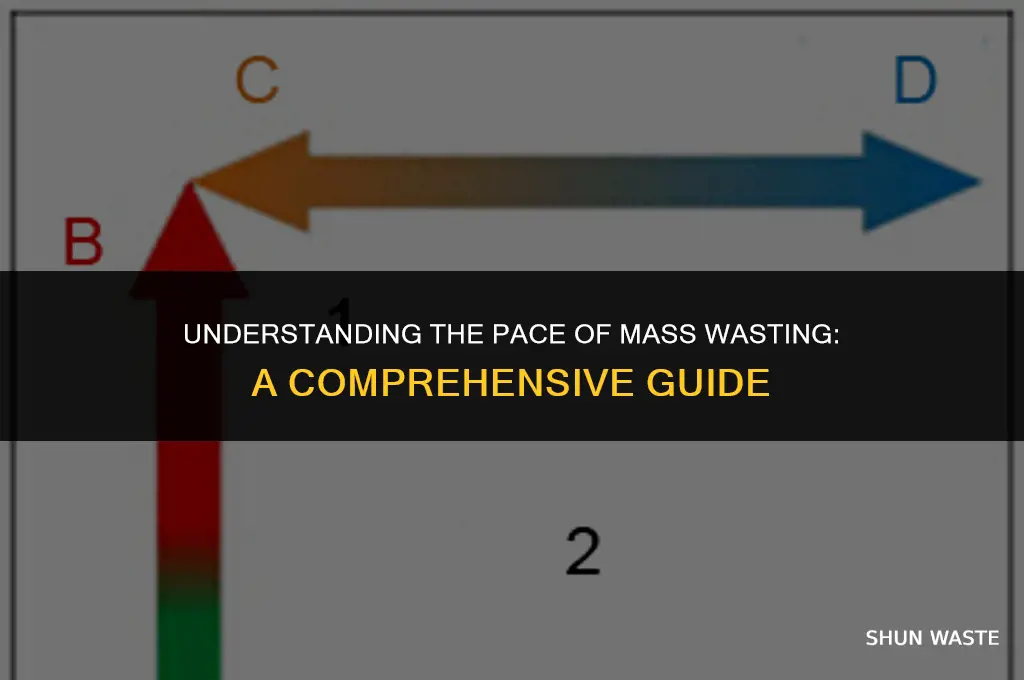 Understanding The Pace Of Mass Wasting: A Comprehensive Guide | ShunWaste