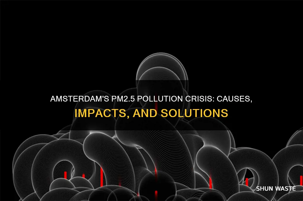 Amsterdam's Pm2.5 Pollution Crisis: Causes, Impacts, And Solutions ...