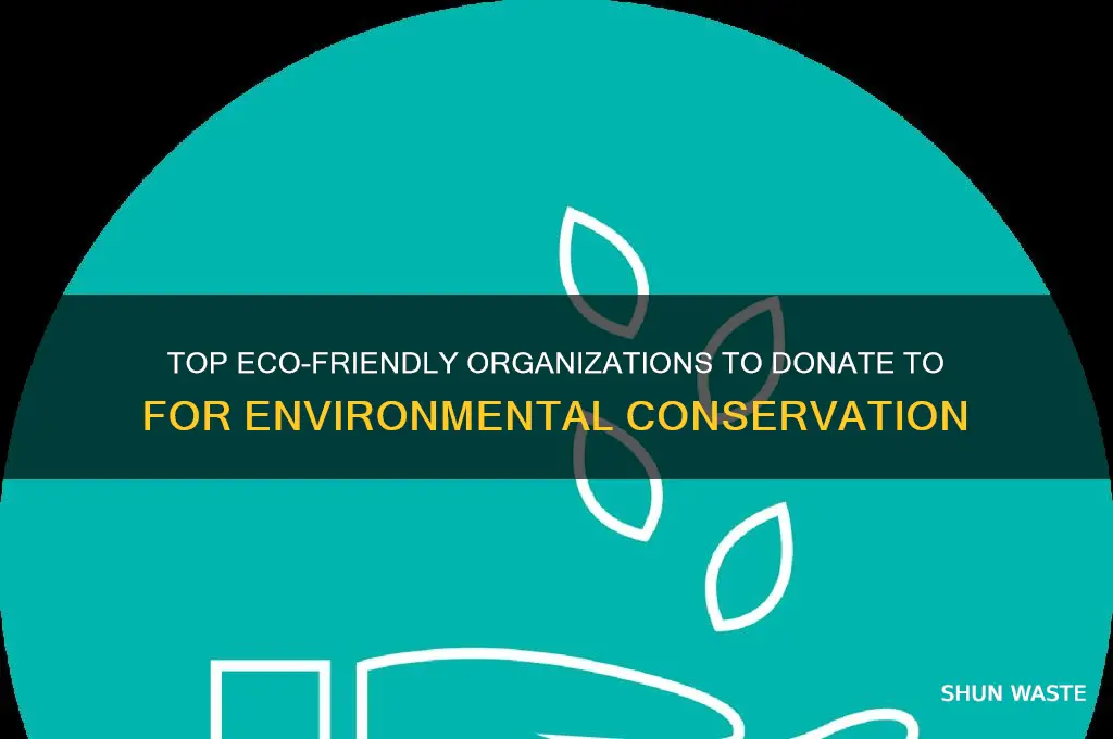 Top Eco-Friendly Organizations To Donate To For Environmental ...