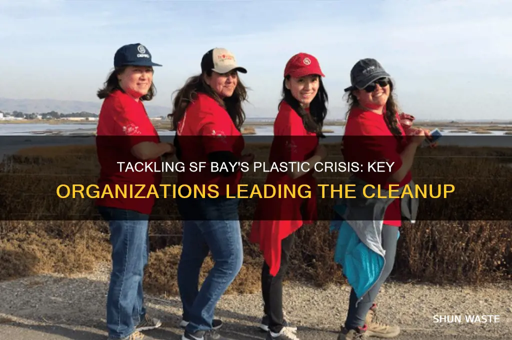 Tackling Sf Bay's Plastic Crisis: Key Organizations Leading The Cleanup ...