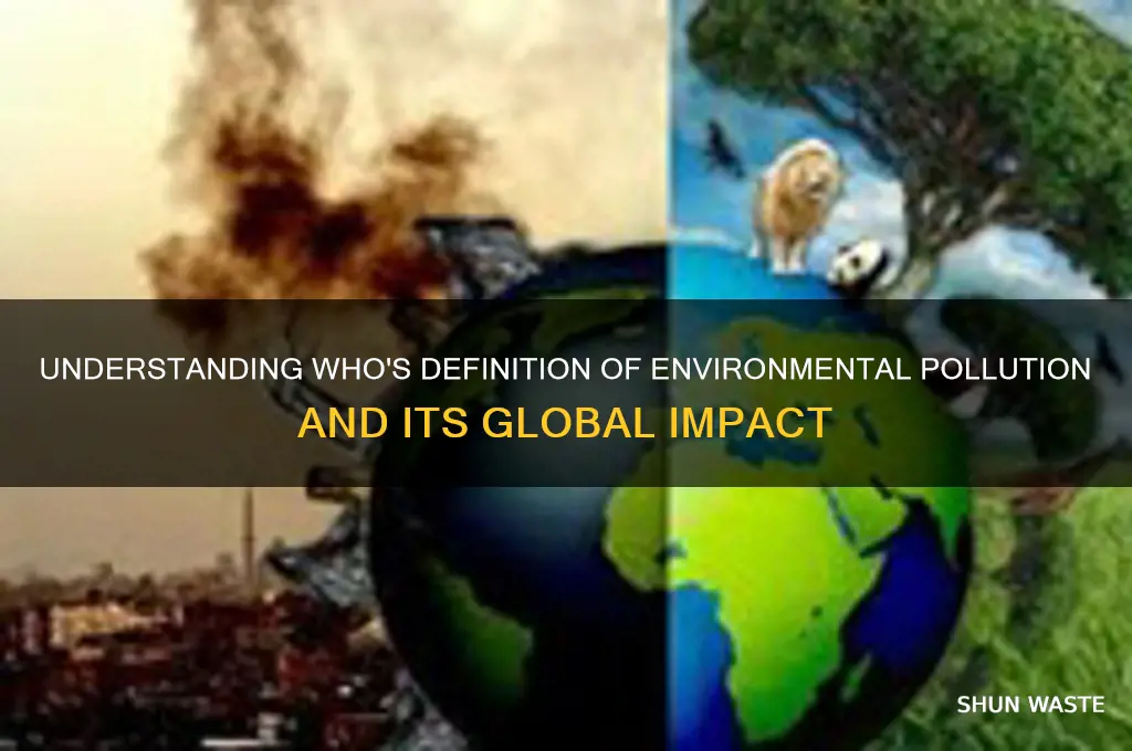 Understanding Who's Definition Of Environmental Pollution And Its ...