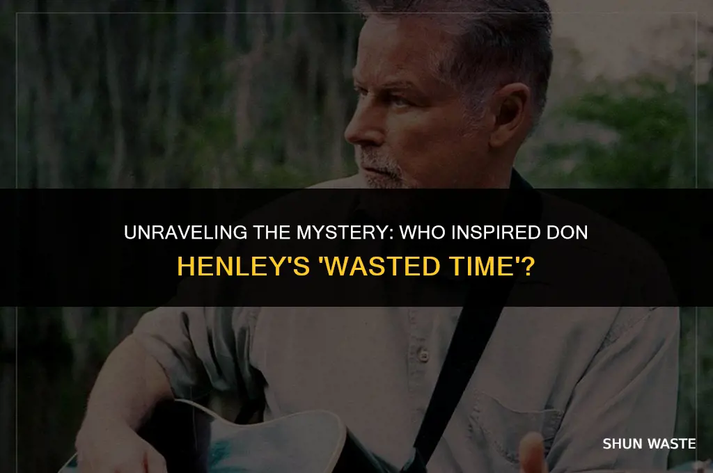 Unraveling The Mystery: Who Inspired Don Henley's 'Wasted Time ...