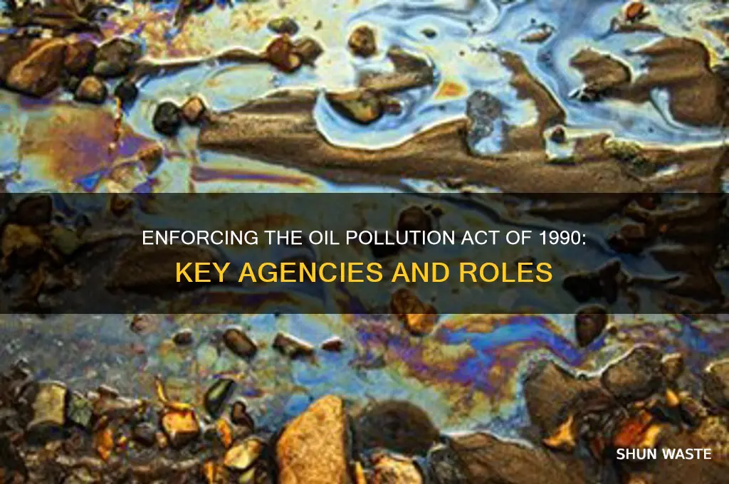 Enforcing The Oil Pollution Act Of 1990: Key Agencies And Roles | ShunWaste