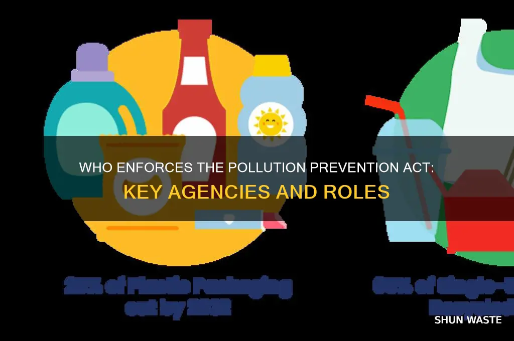 Who Enforces The Pollution Prevention Act: Key Agencies And Roles ...