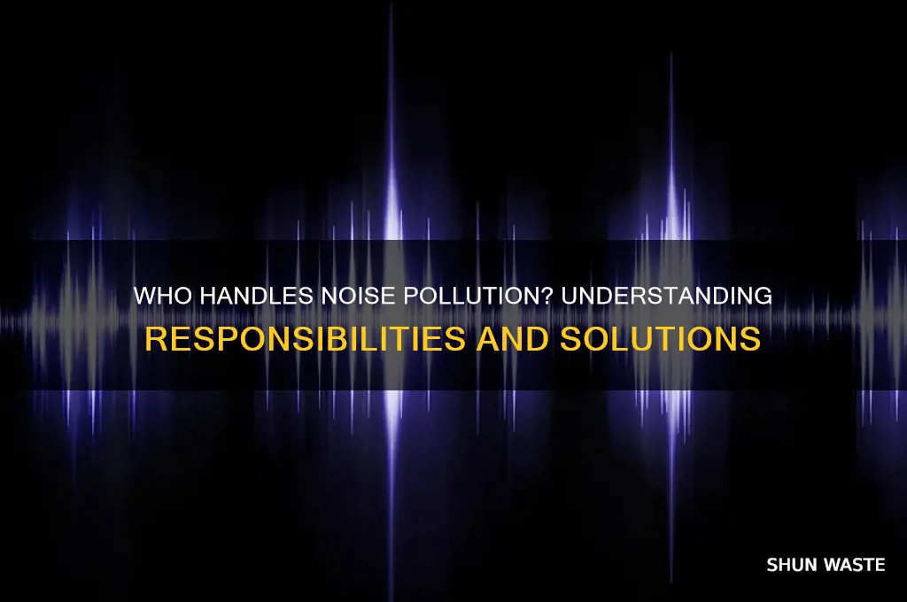 Who Handles Noise Pollution? Understanding Responsibilities And ...