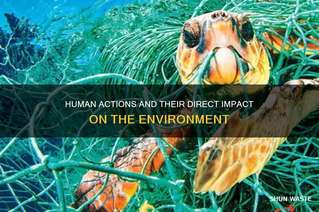 Human Actions And Their Direct Impact On The Environment | ShunWaste