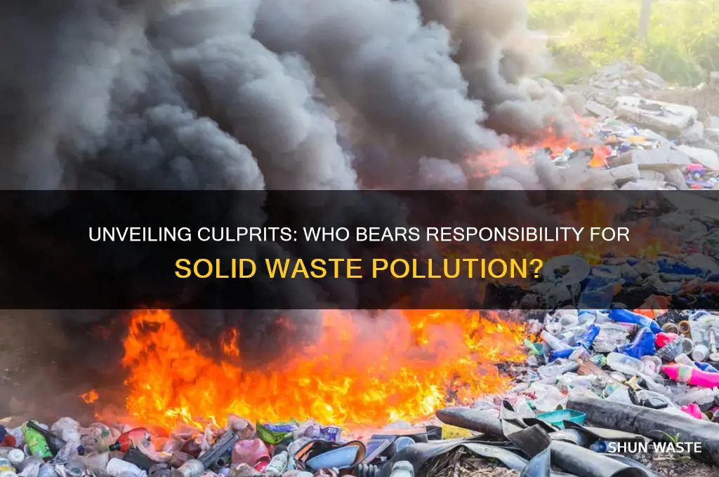 Unveiling Culprits: Who Bears Responsibility For Solid Waste Pollution ...