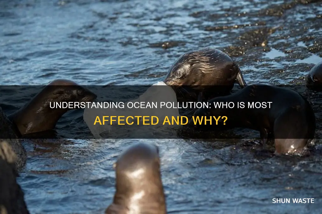 Understanding Ocean Pollution: Who Is Most Affected And Why? | ShunWaste