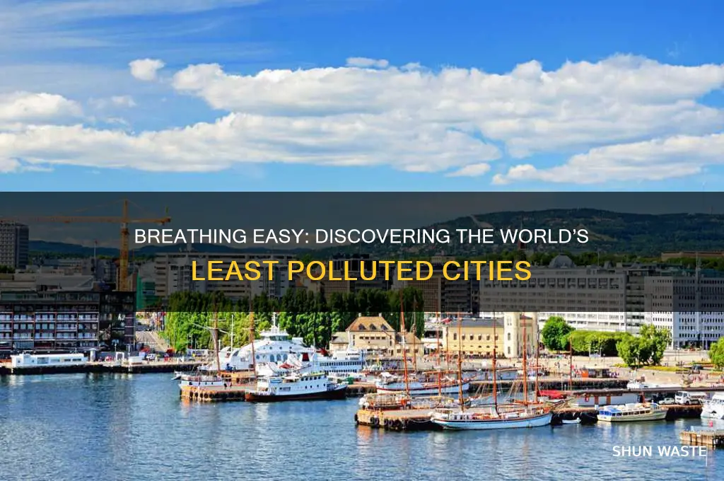 Breathing Easy: Discovering The World’S Least Polluted Cities | ShunWaste