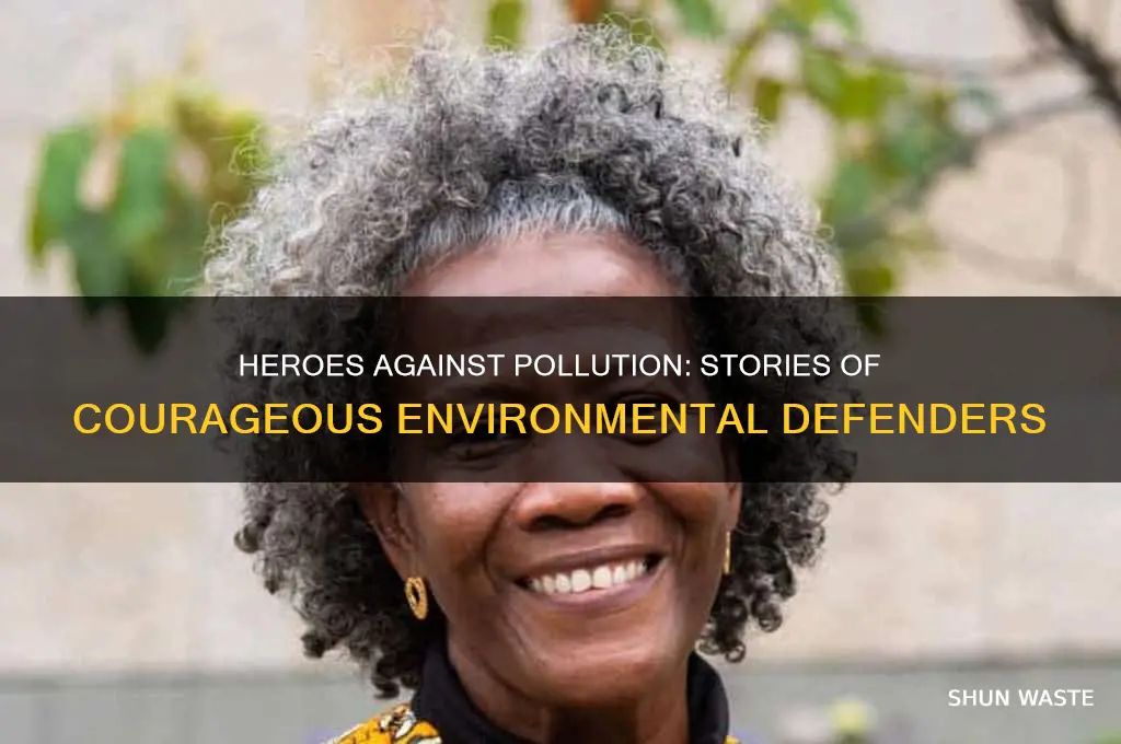 Heroes Against Pollution: Stories Of Courageous Environmental Defenders ...