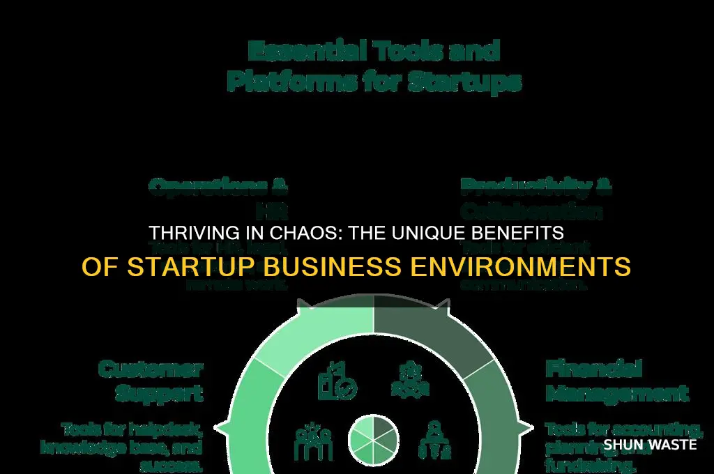 Thriving In Chaos: The Unique Benefits Of Startup Business Environments ...
