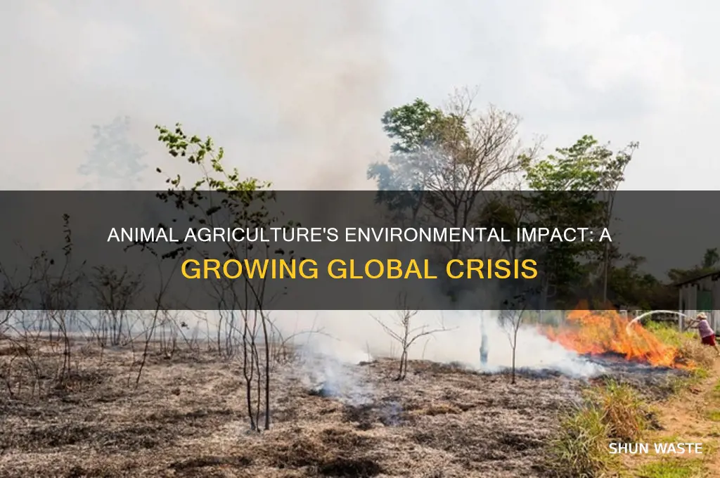 Animal Agriculture's Environmental Impact: A Growing Global Crisis ...