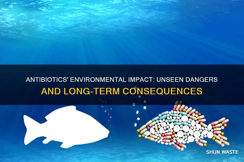Antibiotics' Environmental Impact: Unseen Dangers And Long-Term ...
