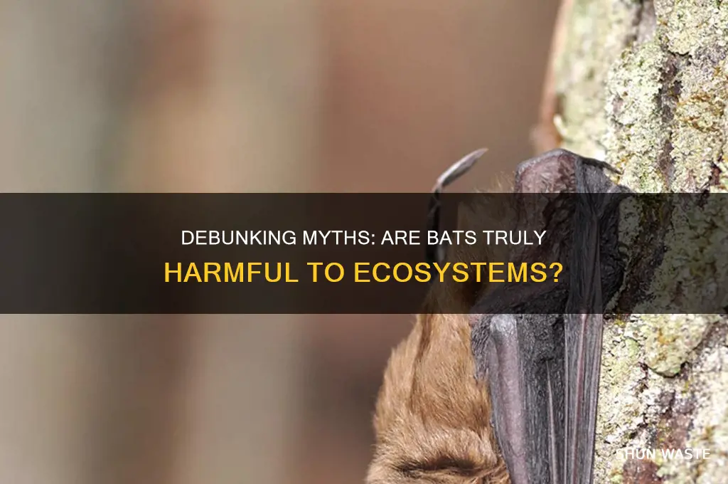 Debunking Myths: Are Bats Truly Harmful To Ecosystems? | ShunWaste