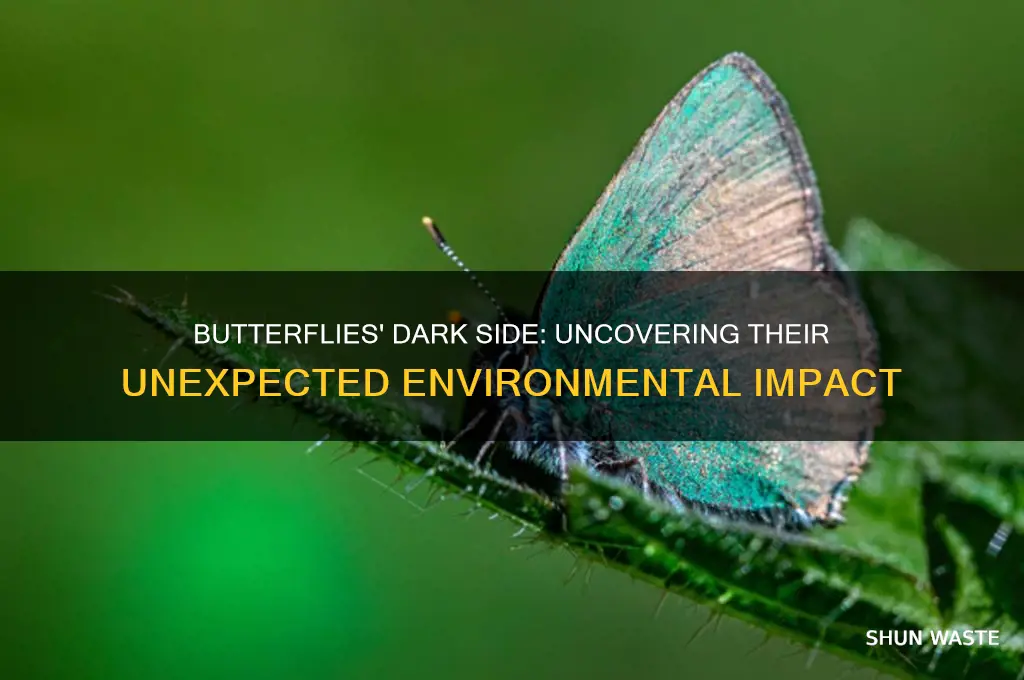 Butterflies' Dark Side: Uncovering Their Unexpected Environmental ...
