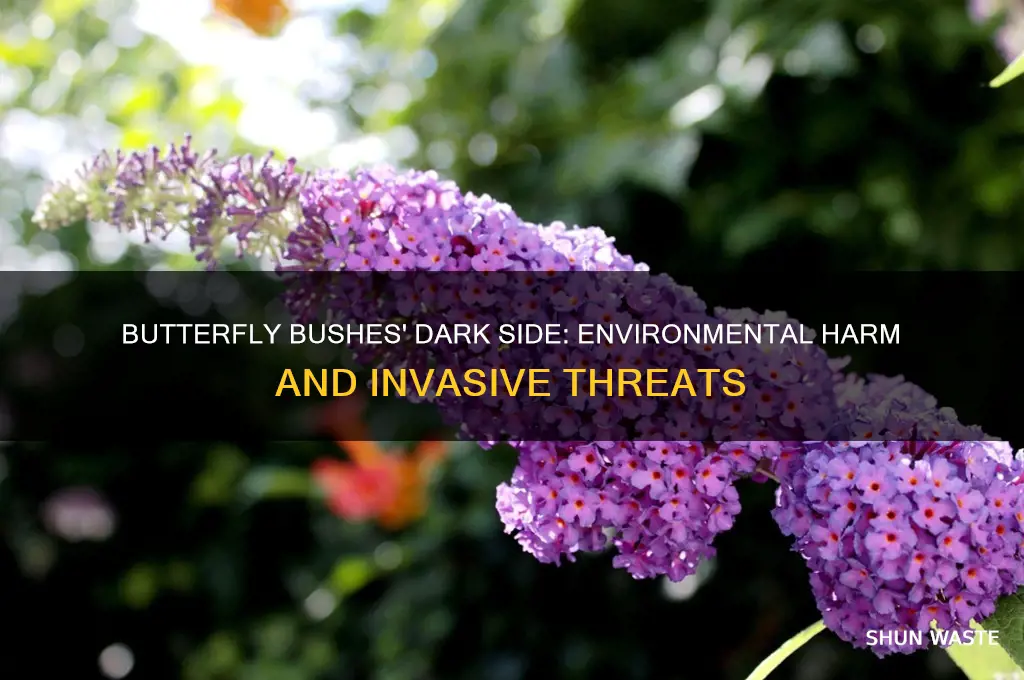 Butterfly Bushes' Dark Side: Environmental Harm And Invasive Threats ...