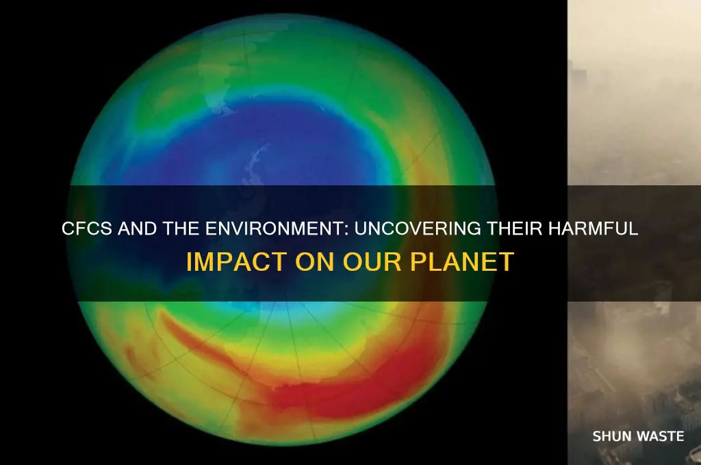 Cfcs And The Environment: Uncovering Their Harmful Impact On Our Planet ...