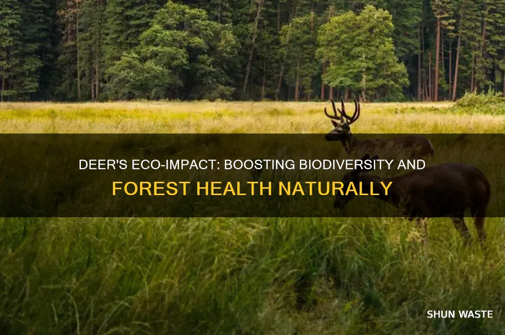 Deer's Eco-Impact: Boosting Biodiversity And Forest Health Naturally ...