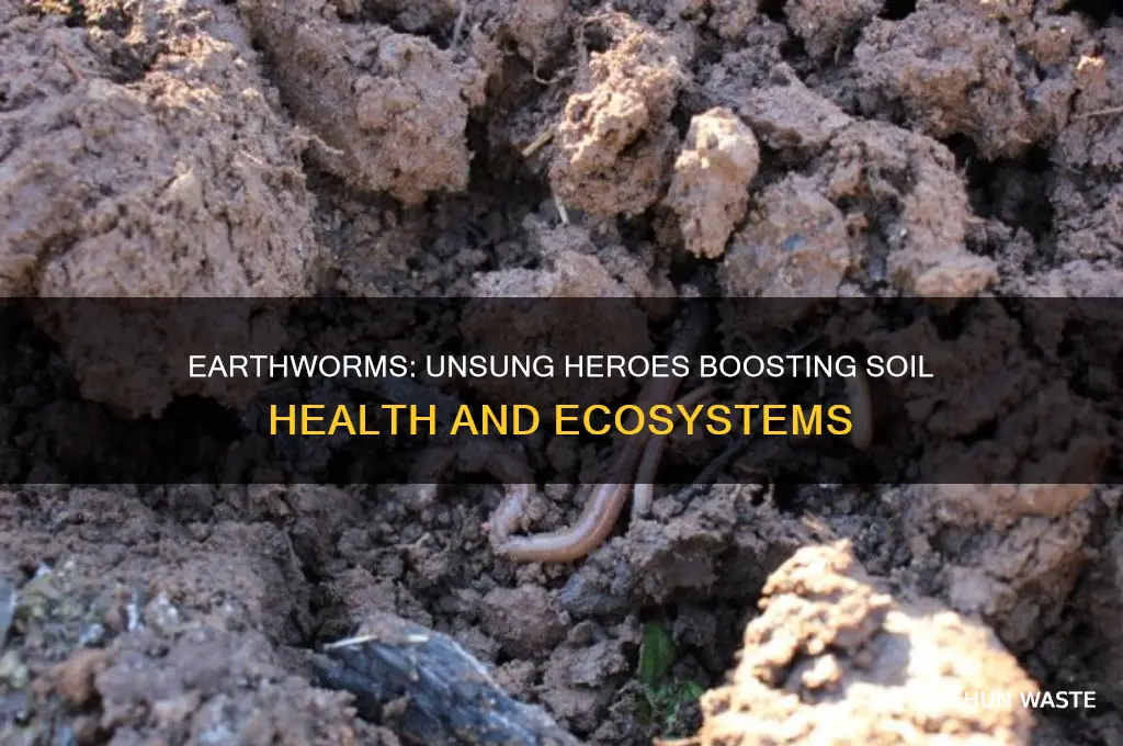Earthworms: Unsung Heroes Boosting Soil Health And Ecosystems | ShunWaste