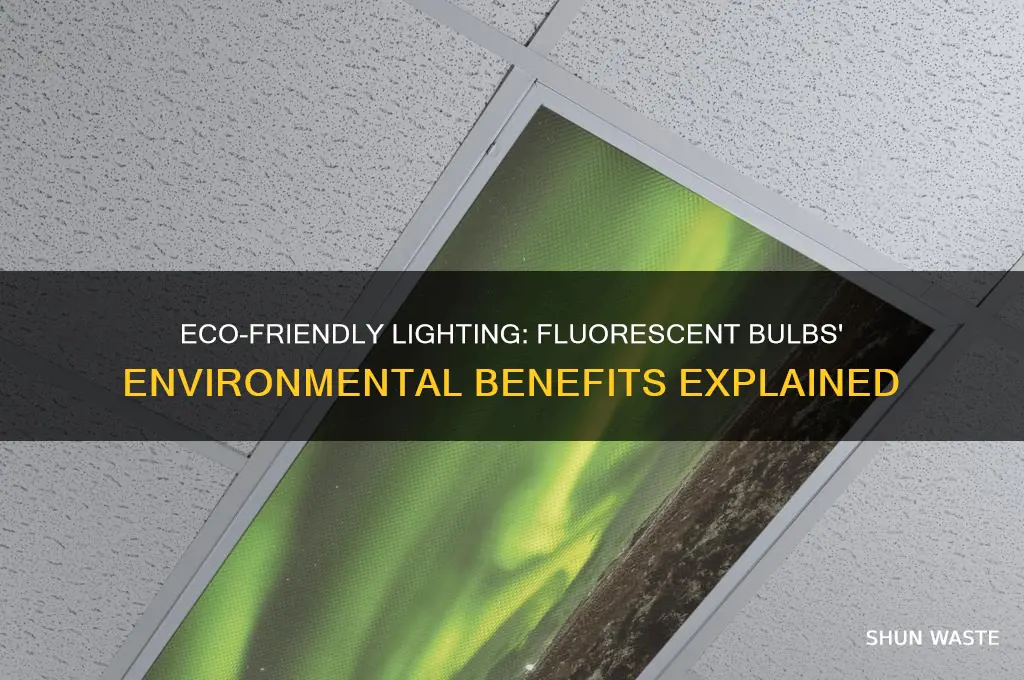 Eco-Friendly Lighting: Fluorescent Bulbs' Environmental Benefits ...