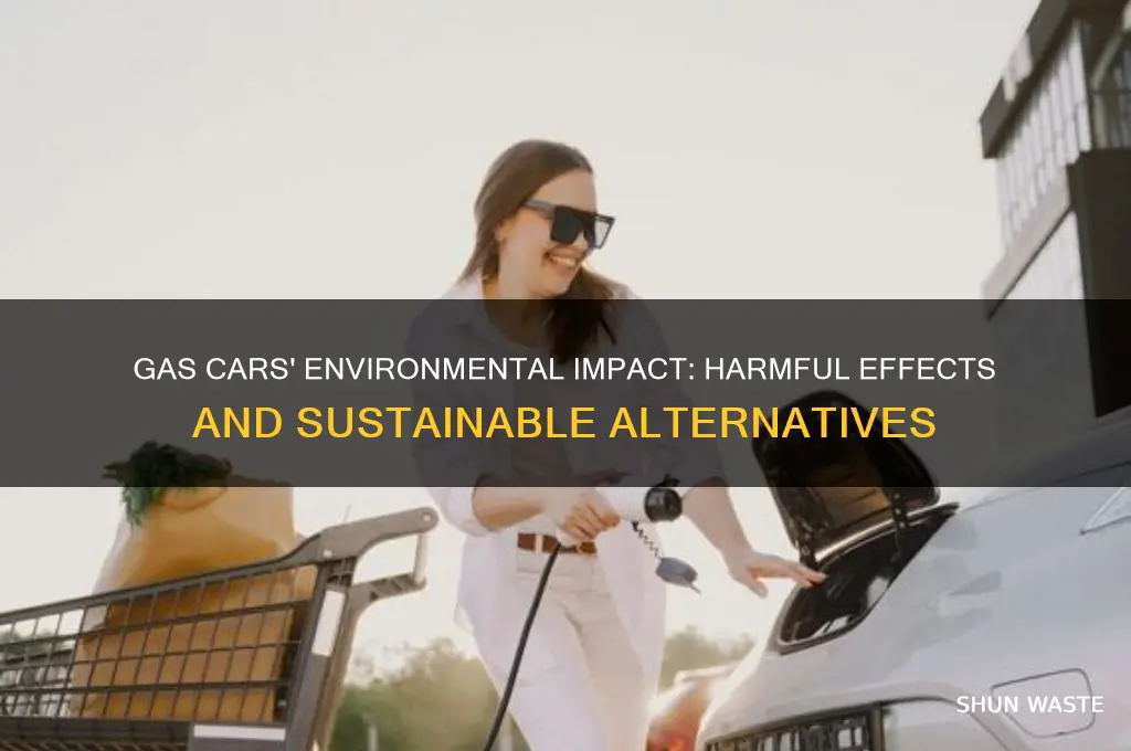 Gas Cars' Environmental Impact: Harmful Effects And Sustainable ...