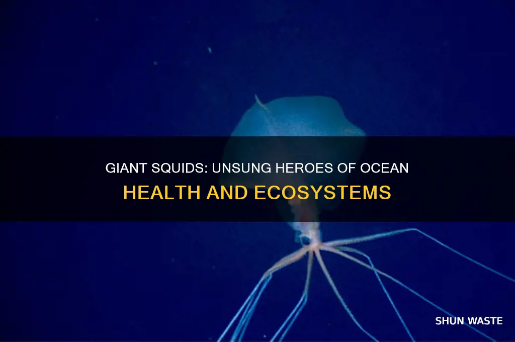 Giant Squids: Unsung Heroes Of Ocean Health And Ecosystems | ShunWaste