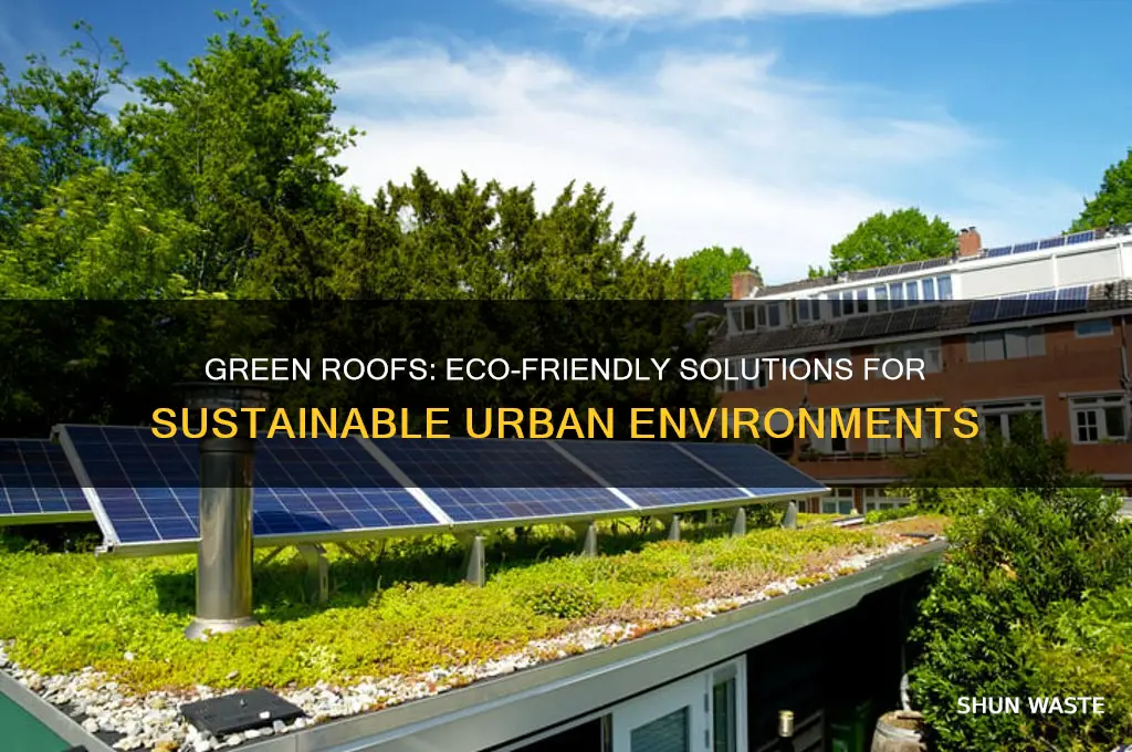 Green Roofs: Eco-Friendly Solutions For Sustainable Urban Environments ...