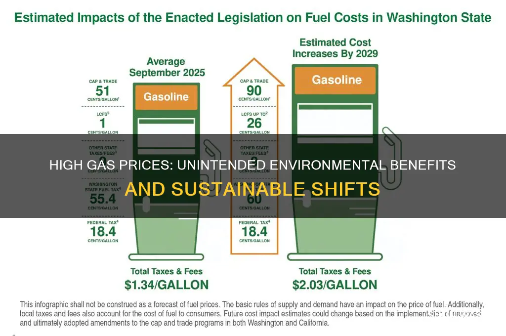 High Gas Prices: Unintended Environmental Benefits And Sustainable ...