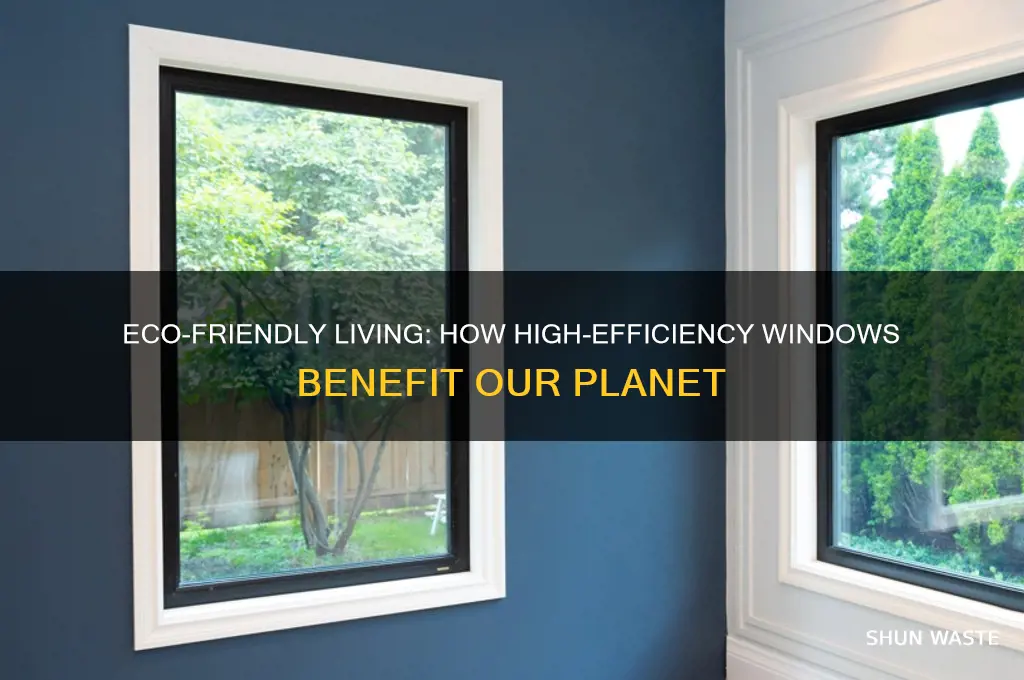 Eco-Friendly Living: How High-Efficiency Windows Benefit Our Planet ...