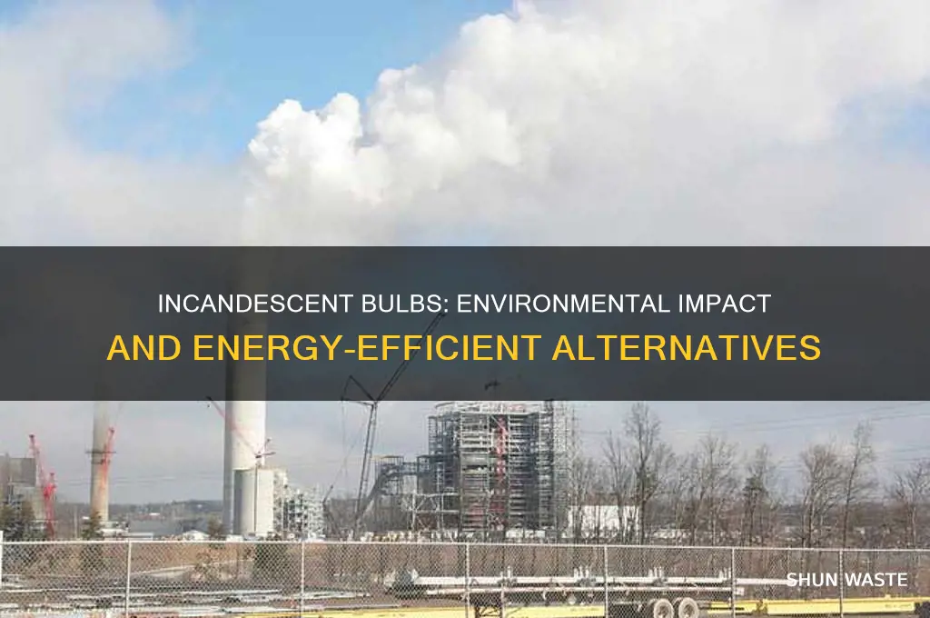 Incandescent Bulbs: Environmental Impact And Energy-Efficient ...