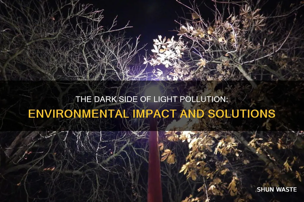 The Dark Side Of Light Pollution: Environmental Impact And Solutions ...
