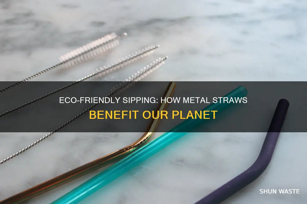 Eco-Friendly Sipping: How Metal Straws Benefit Our Planet | ShunWaste