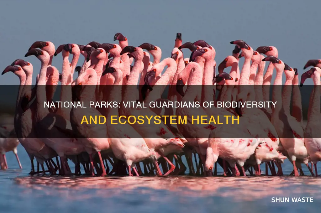 National Parks: Vital Guardians Of Biodiversity And Ecosystem Health ...