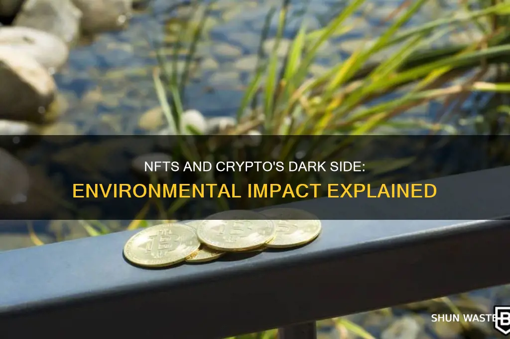 Nfts And Crypto's Dark Side: Environmental Impact Explained | ShunWaste