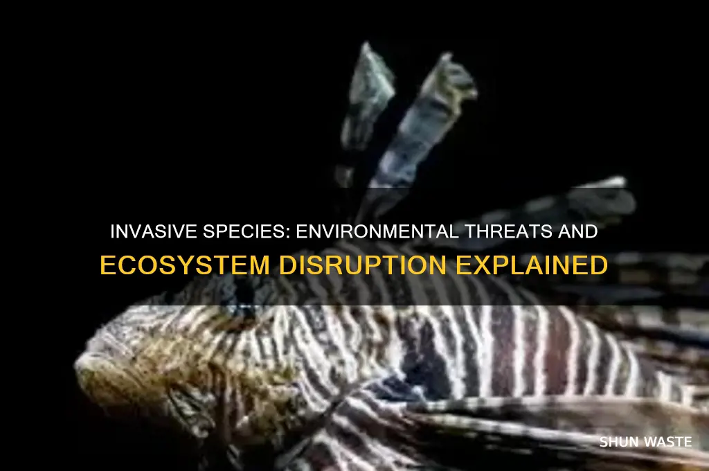 Invasive Species: Environmental Threats And Ecosystem Disruption ...