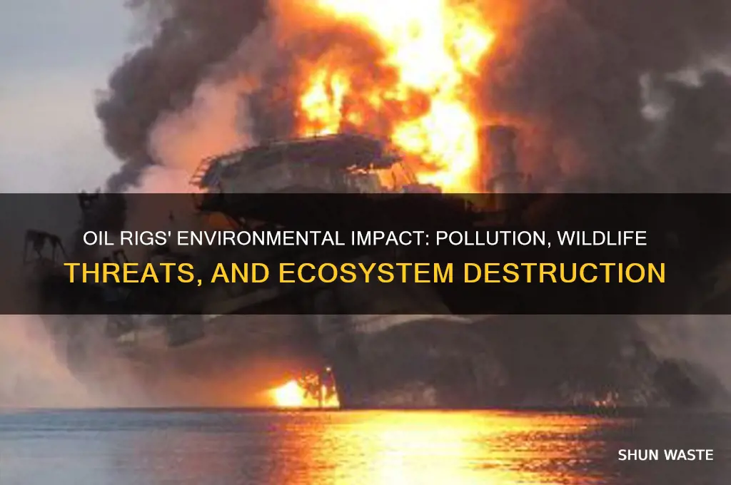 Oil Rigs' Environmental Impact: Pollution, Wildlife Threats, And ...