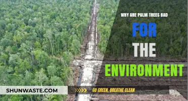 The Environmental Impact Of Pens: Uncovering Their Hidden Ecological ...