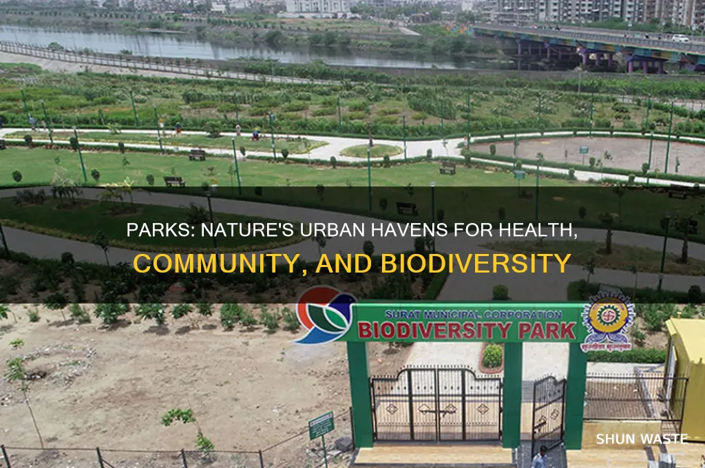 Parks: Nature's Urban Havens For Health, Community, And Biodiversity ...