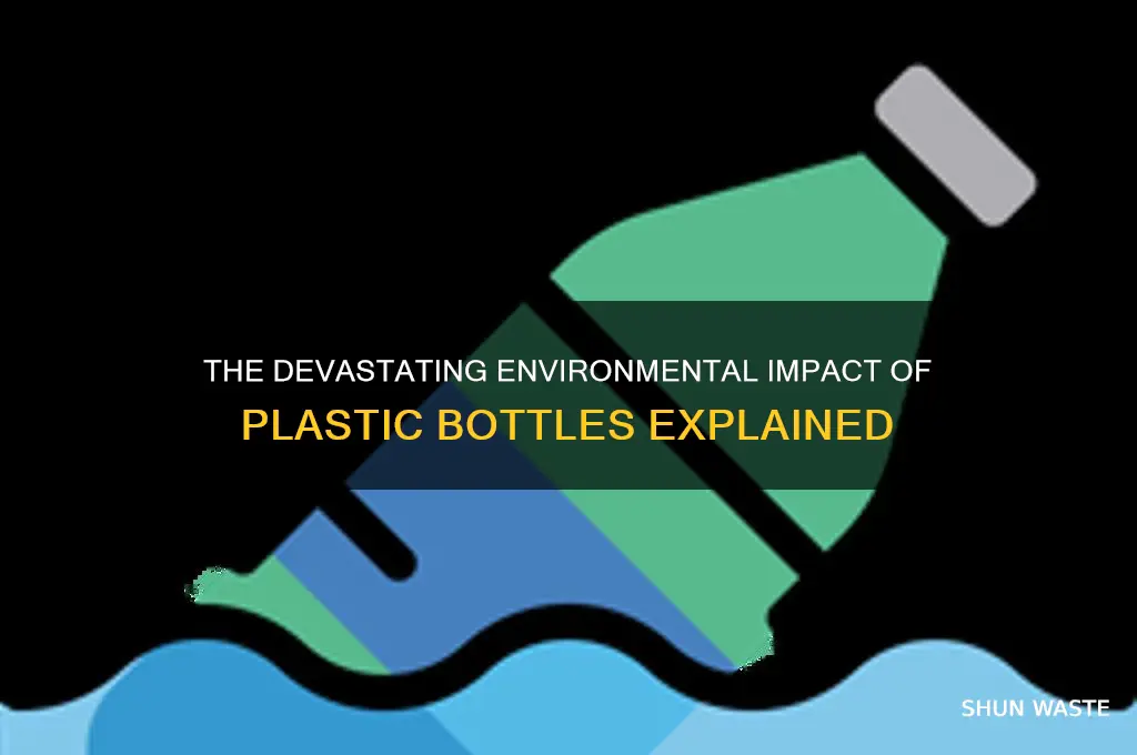 The Devastating Environmental Impact Of Plastic Bottles Explained ...