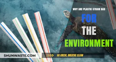 Plastic's Environmental Impact: Harmful Effects And Sustainable ...