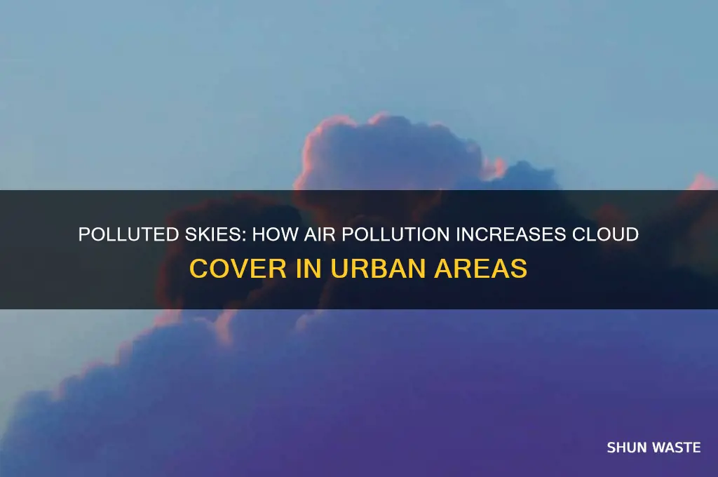 Polluted Skies: How Air Pollution Increases Cloud Cover In Urban Areas ...