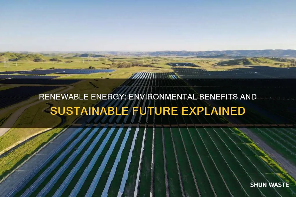 Renewable Energy: Environmental Benefits And Sustainable Future ...