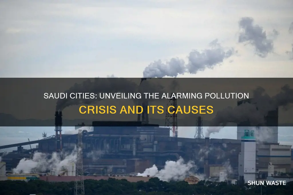 Saudi Cities: Unveiling The Alarming Pollution Crisis And Its Causes ...