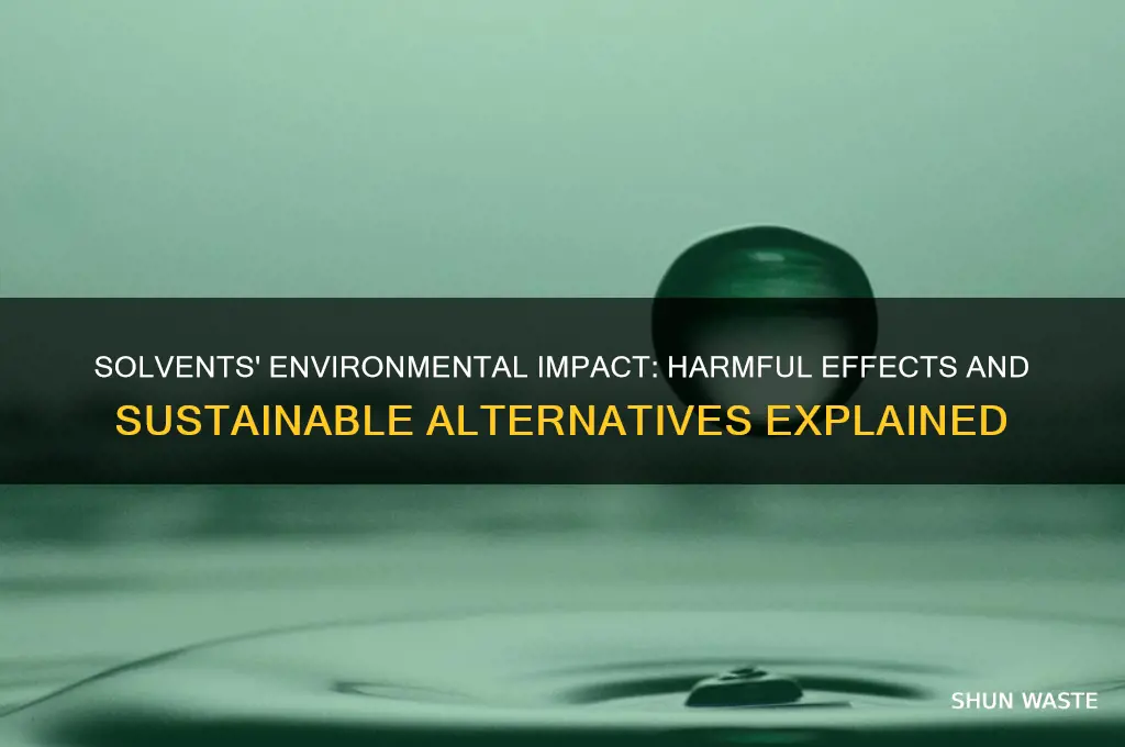 Solvents' Environmental Impact: Harmful Effects And Sustainable ...
